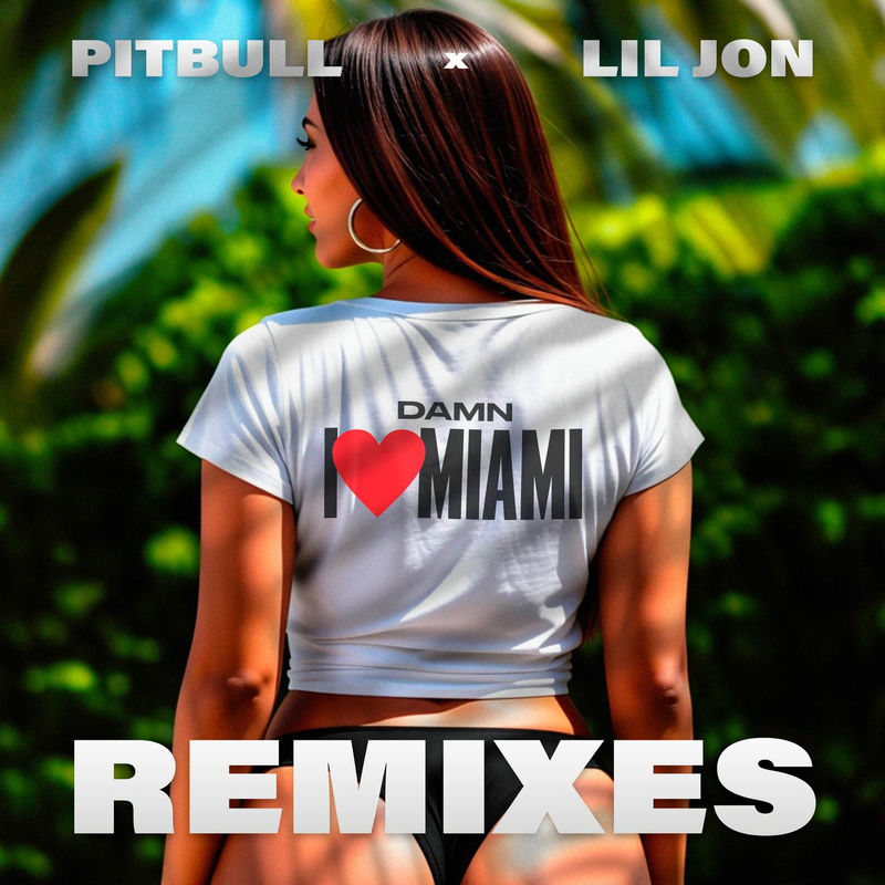 Pitbull & Lil Jon - Damn I Love Miami (Apollo XO Remix)